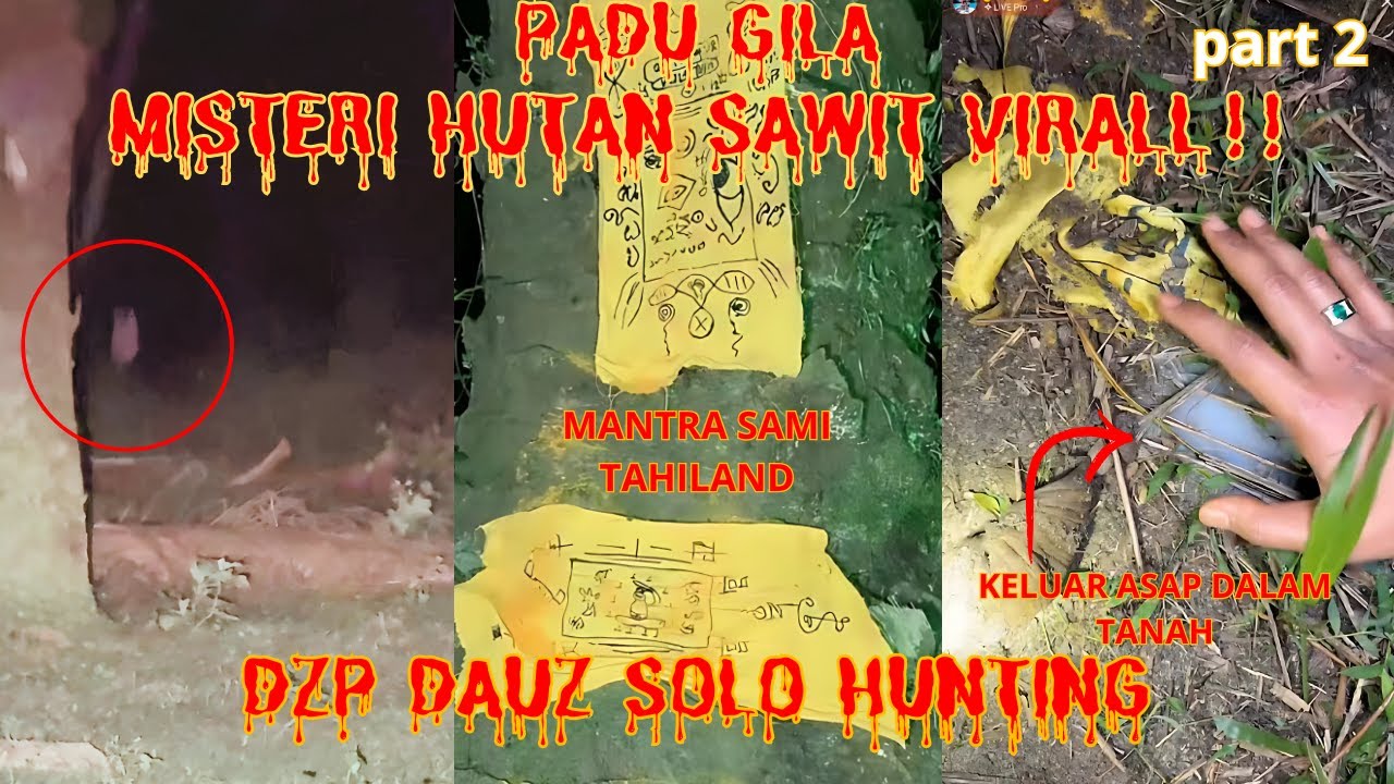 PADU GILA ((MISTERI HUTAN SAWIT VIRALL)) PARANORMAL DZP DAUZ SOLO HUNTING PARA PART 2/2 - YouTube