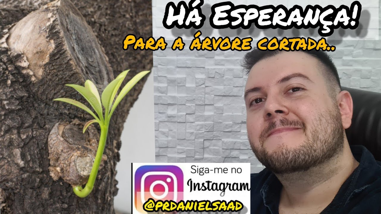 HÁ ESPERANÇA!!!! - YouTube