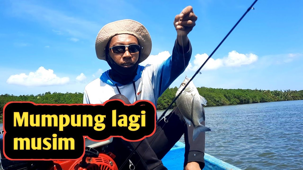 Mancing dasaran di segara anakan cilacap - YouTube