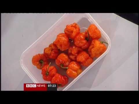 Nick Woods world's hottest Chilli the Infinity 1.25 Million Scoville ...