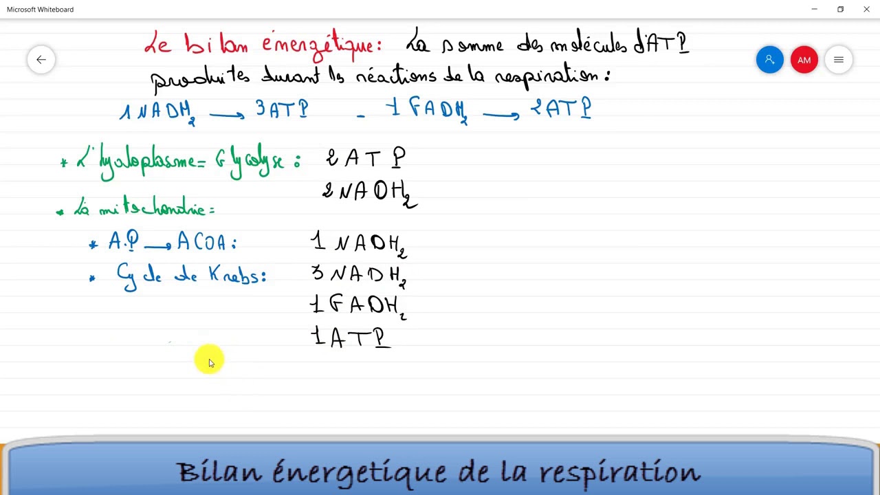 Bilan énergétique de la respiration - YouTube