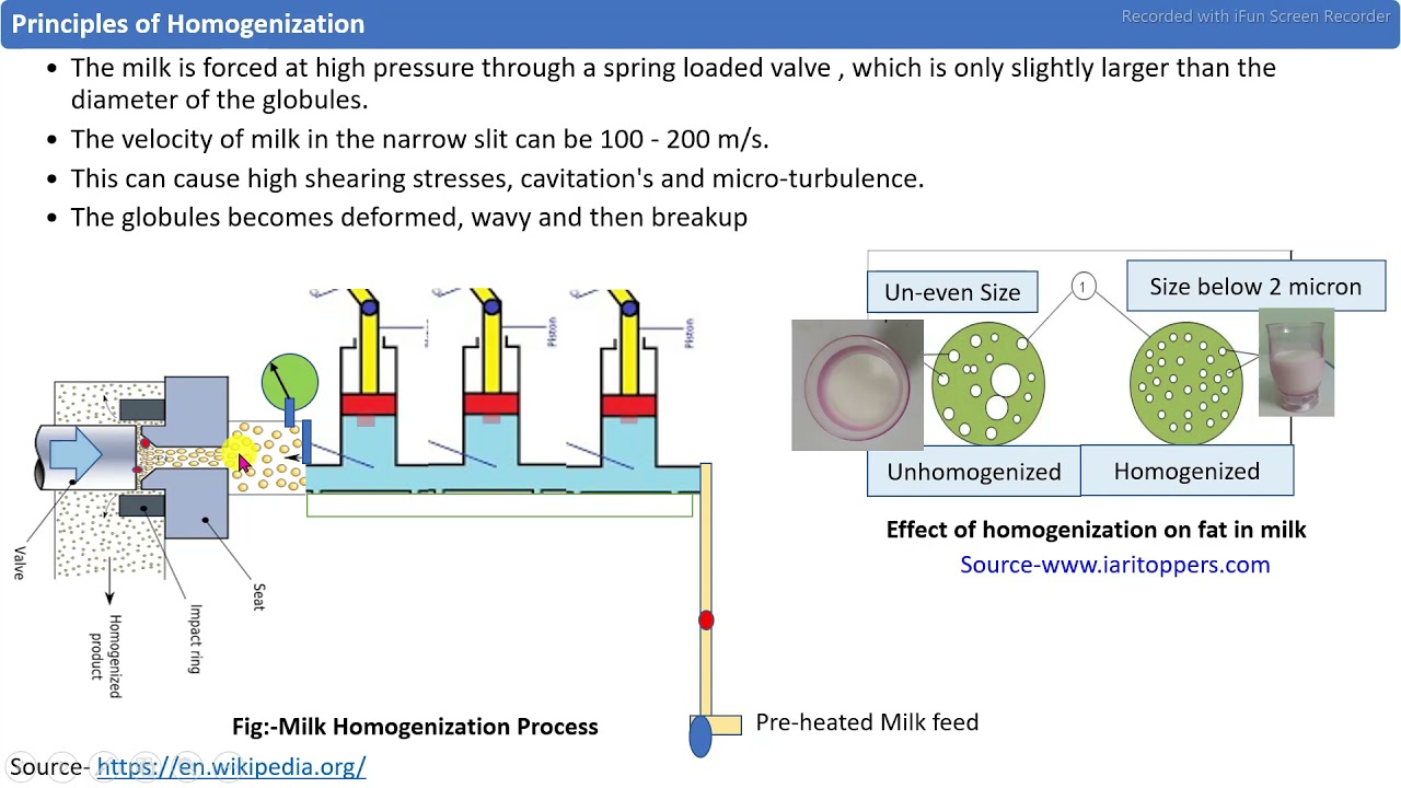 Milk Homogenization Process YouTube
