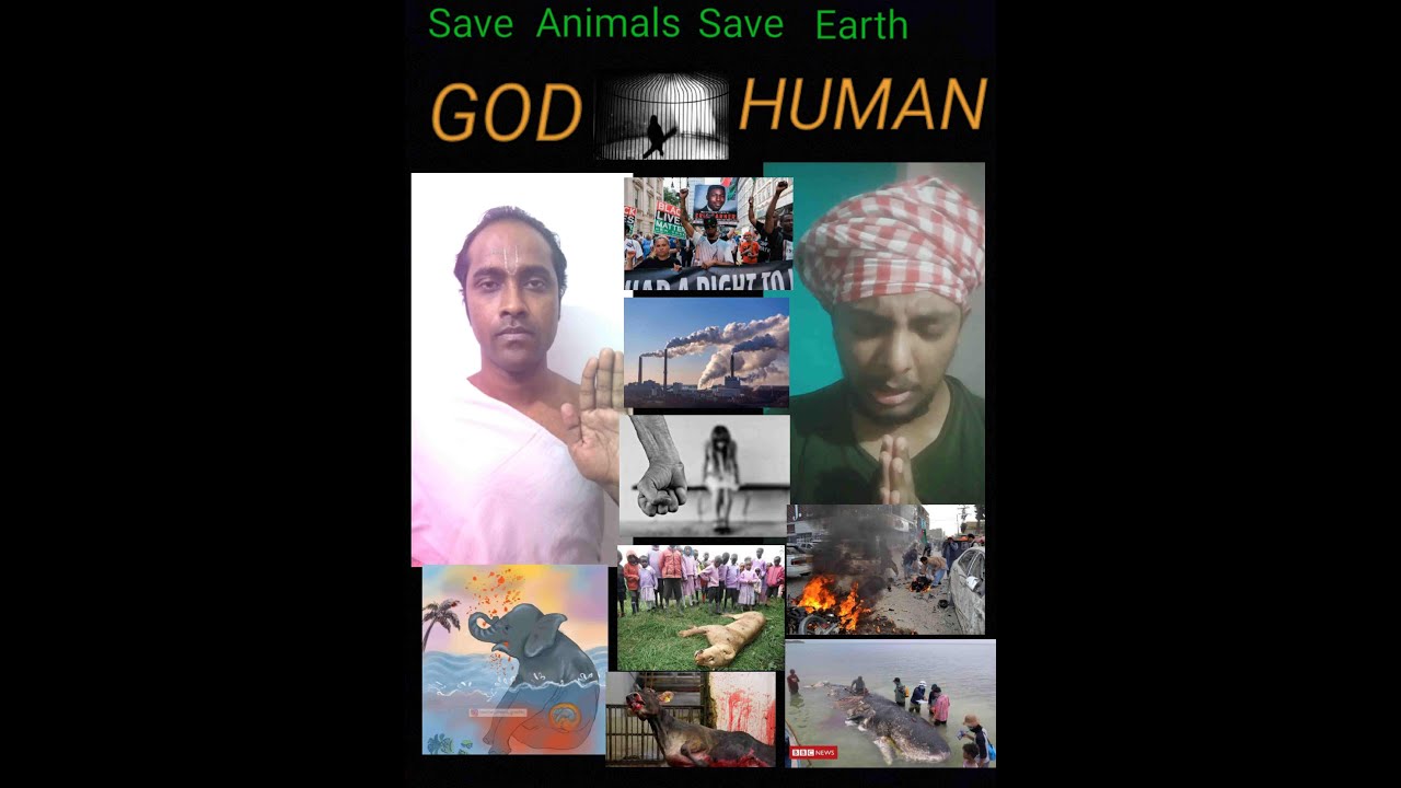 GOD VS HUMAN (SAVE ANIMALS SAVE EARTH) - YouTube