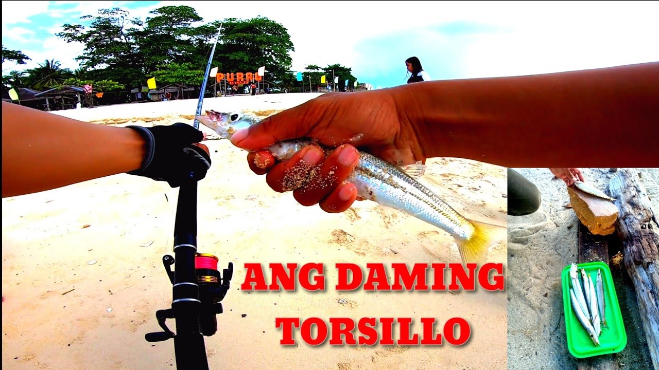 Fishing For Dinner | Ang Daming Torsillo.. - YouTube