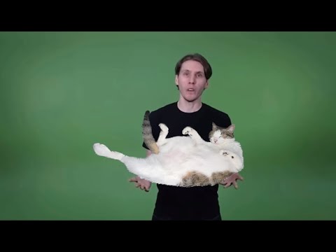 jerma clips i think my cat would enjoy :-3 - YouTube