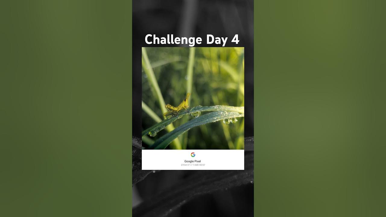 Challenge Random Photo Day 4 | 365 - YouTube