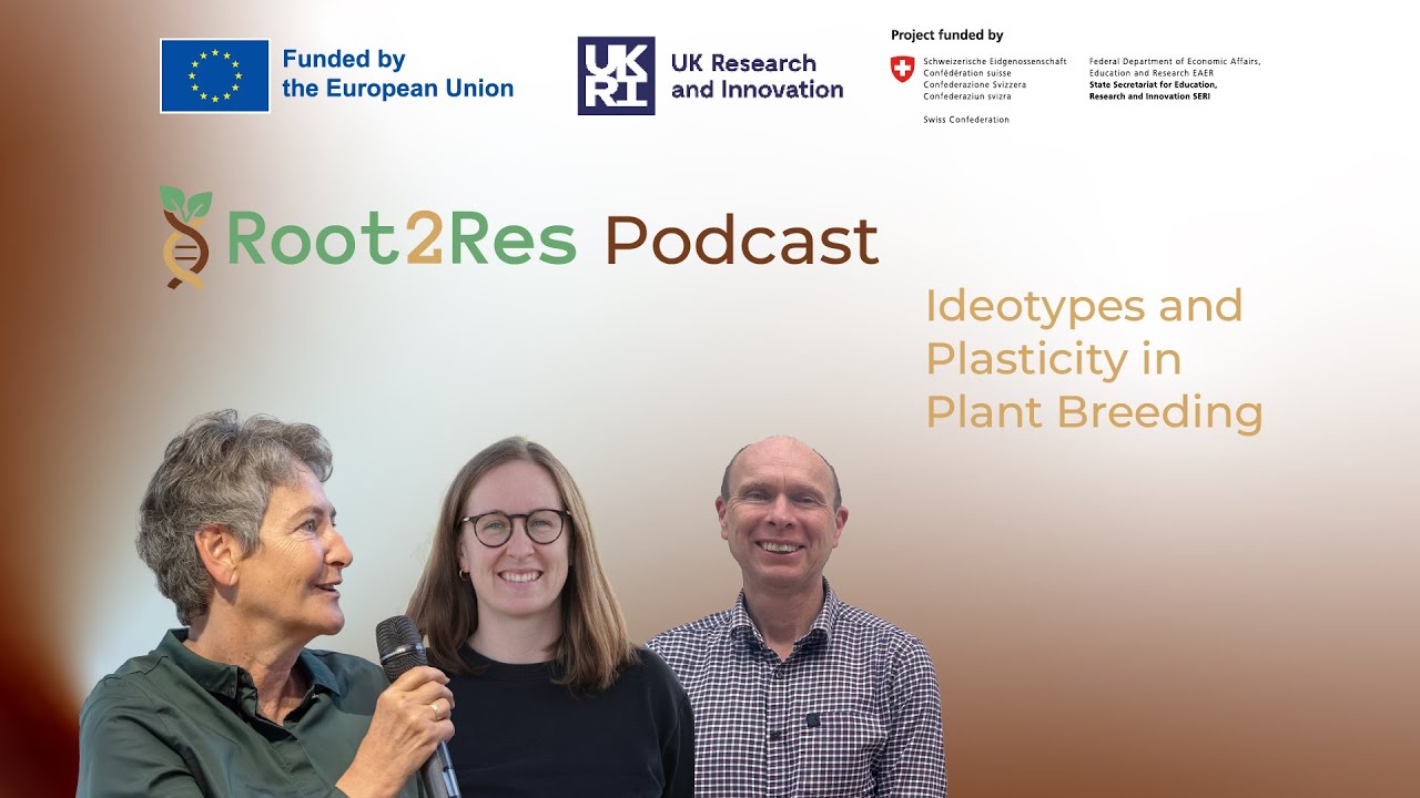 Exploring Root Ideotypes and Plasticity: Strategies for Resilient ...