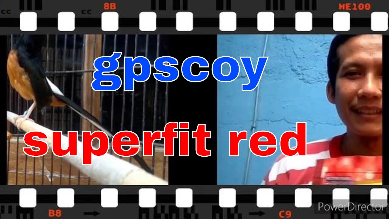 cara penggunaan voer superfit red yang aman - YouTube
