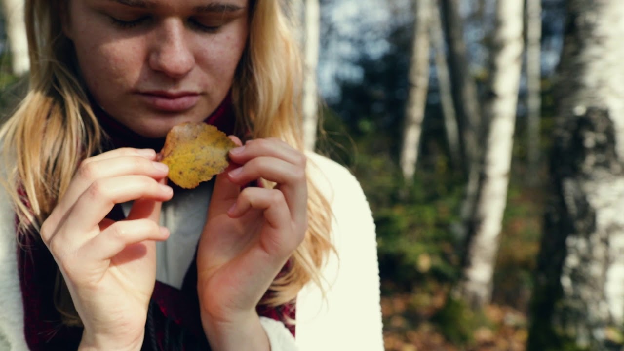WATCH THIS if you're LONGING for NATURE - Autumn Mornings in the German ...