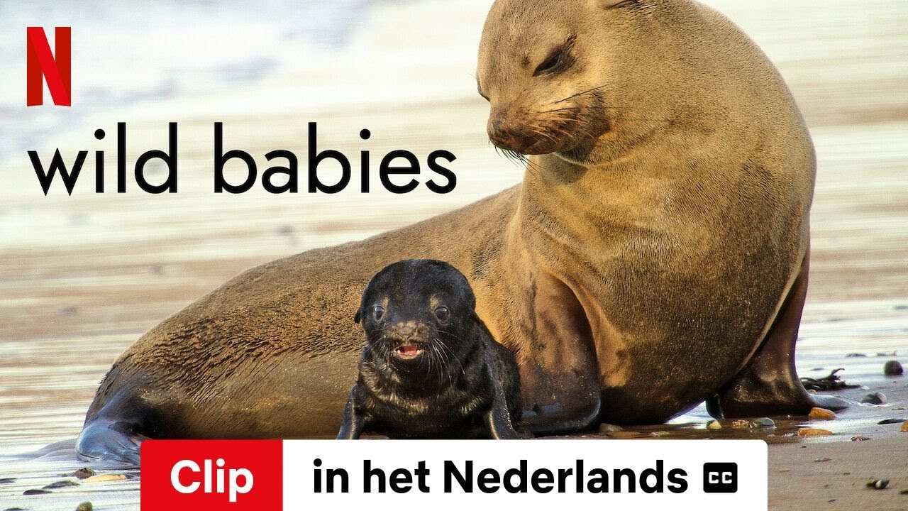 Wild Babies (Clip ondertiteld) | Trailer in het Nederlands | Netflix - YouTube