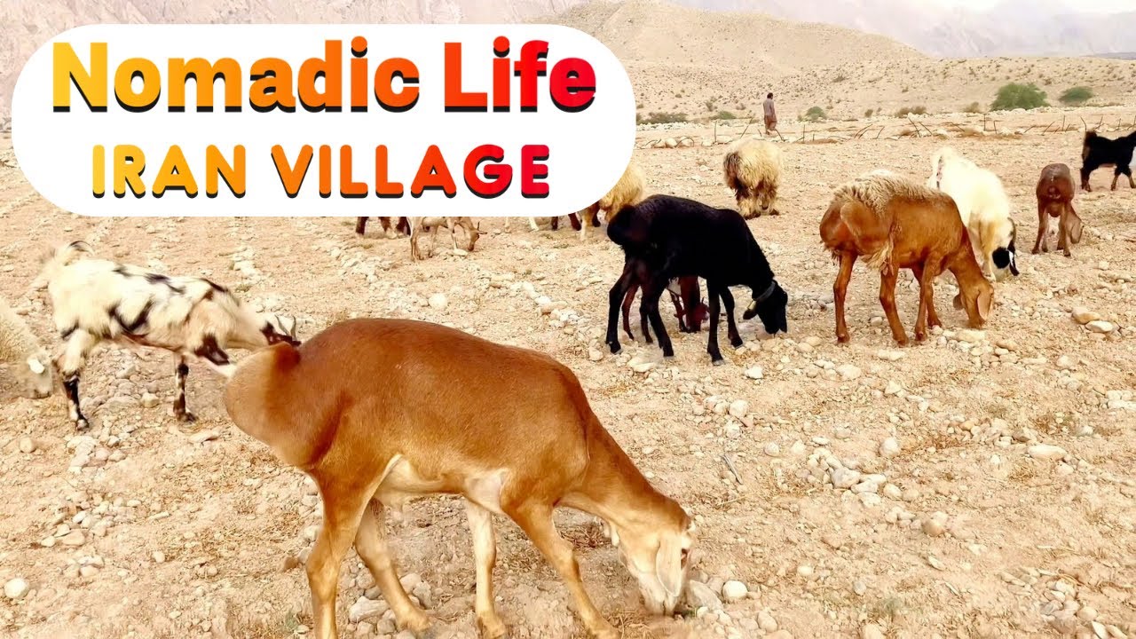 Nomadic Life in Iran | Journey into the Heart of Iran's Nomadic ...