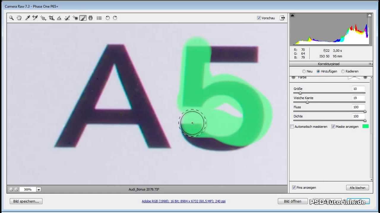 Adobe Camera Raw Tutorial: Chromatische Aberrationen entfernen - YouTube