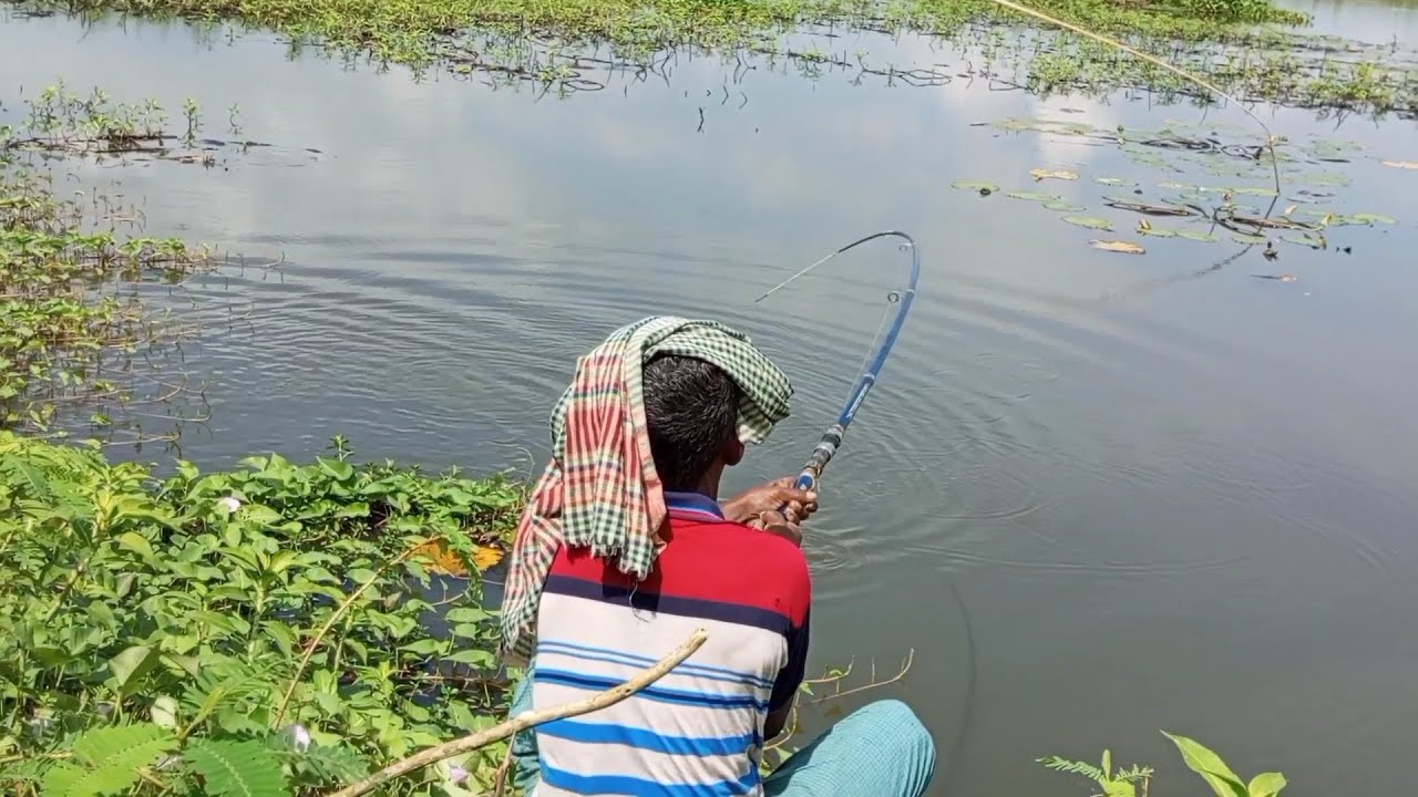 Best Hook Fishing Traditional Hook Fishing, - YouTube