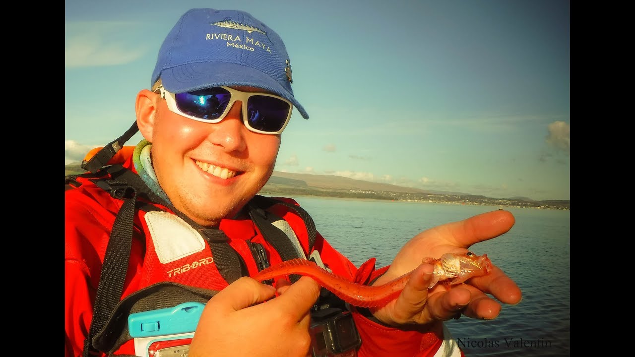 Kayak fishing in Gourock . And a red band fish ! - YouTube