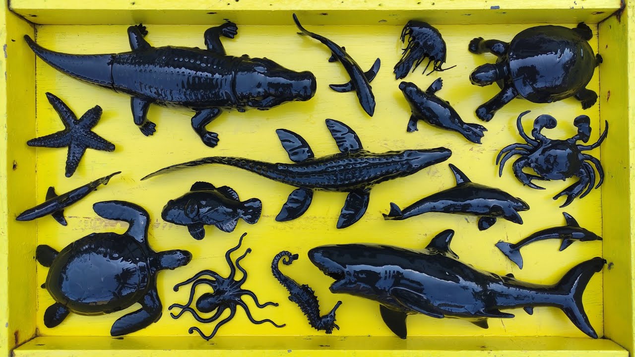 Clean Up Sea Animals: Megalodon, Whale Shark, Orca, Pufferfish, Crab ...