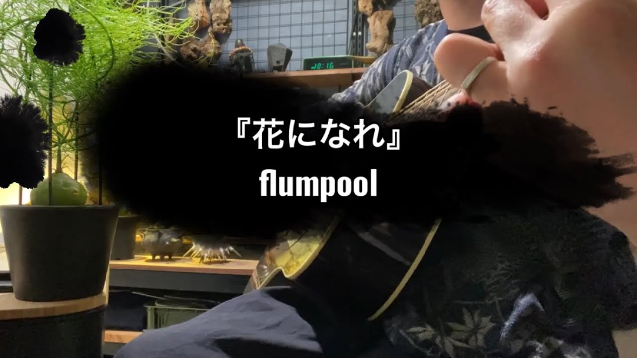 花になれ flumpool (cover) 弾き語り 歌詞付き 懐メロ au LISMO クライミングオニオン フランプール - YouTube