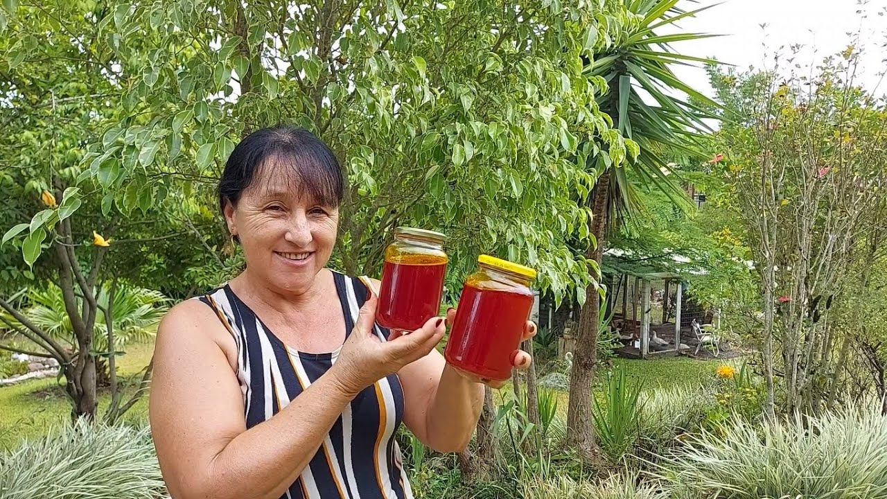 COLHEITA DO URUCUM E PREPARAÇÃO DO COLORAU LÍQUIDO - YouTube