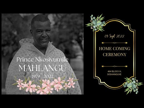 Fame | Prince Mongo net worth and salary income estimation Nov, 2022 ...