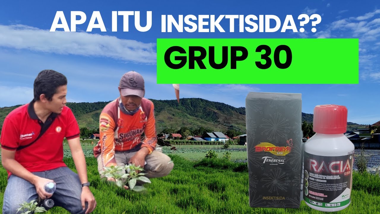APA ITU INSEKTISIDA GROUP 30 ? - YouTube