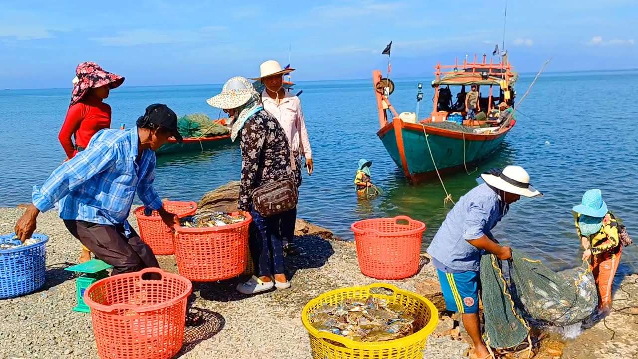 Seafood Paradise at Crab Market! Best Street Food Tour in Kep Province ...