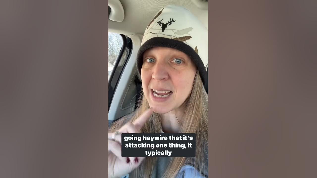 Taking Synthroid? Why? Yes, hypothyroidism—but WHY is your thyroid not ...