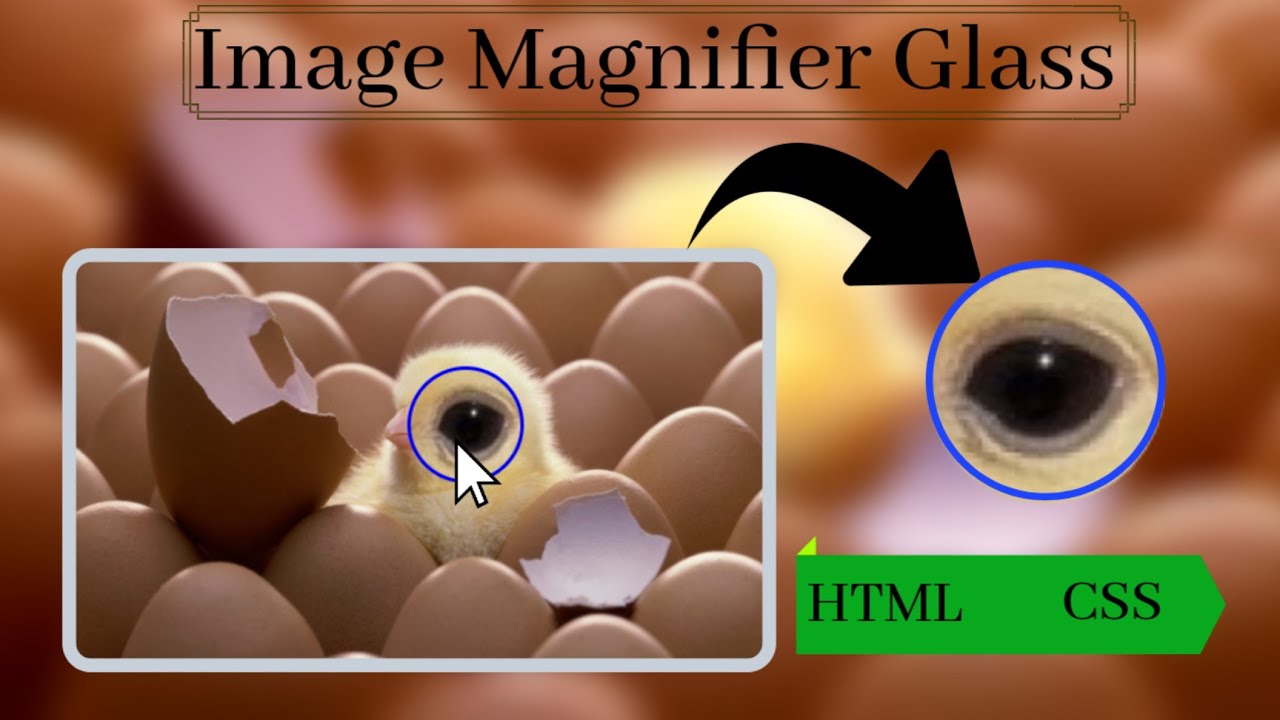 How To Create Image Magnifier Glass Using Html And Css Image Magnifier Glass Future Exam 0339