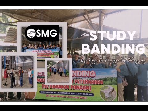#studibanding Desa Penjor Kec. Pagerwojo Kab. Tulungagung ke Pabrik SMG Mixfeed