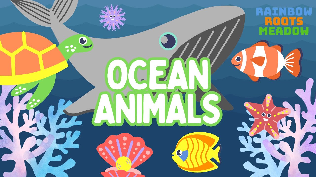 Ocean Animals for Kids - Dive Into the Sea & Meet 8 Creatures! 🐠 ...