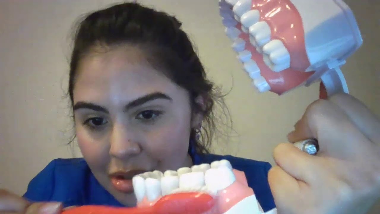 Fones and Bass Brushing Methods! - YouTube