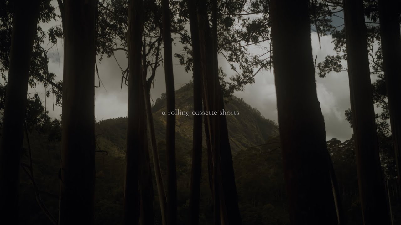 Munnar - Film Print Emulation | Cinematic Film Look - YouTube