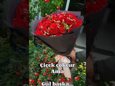 Dost👫👬