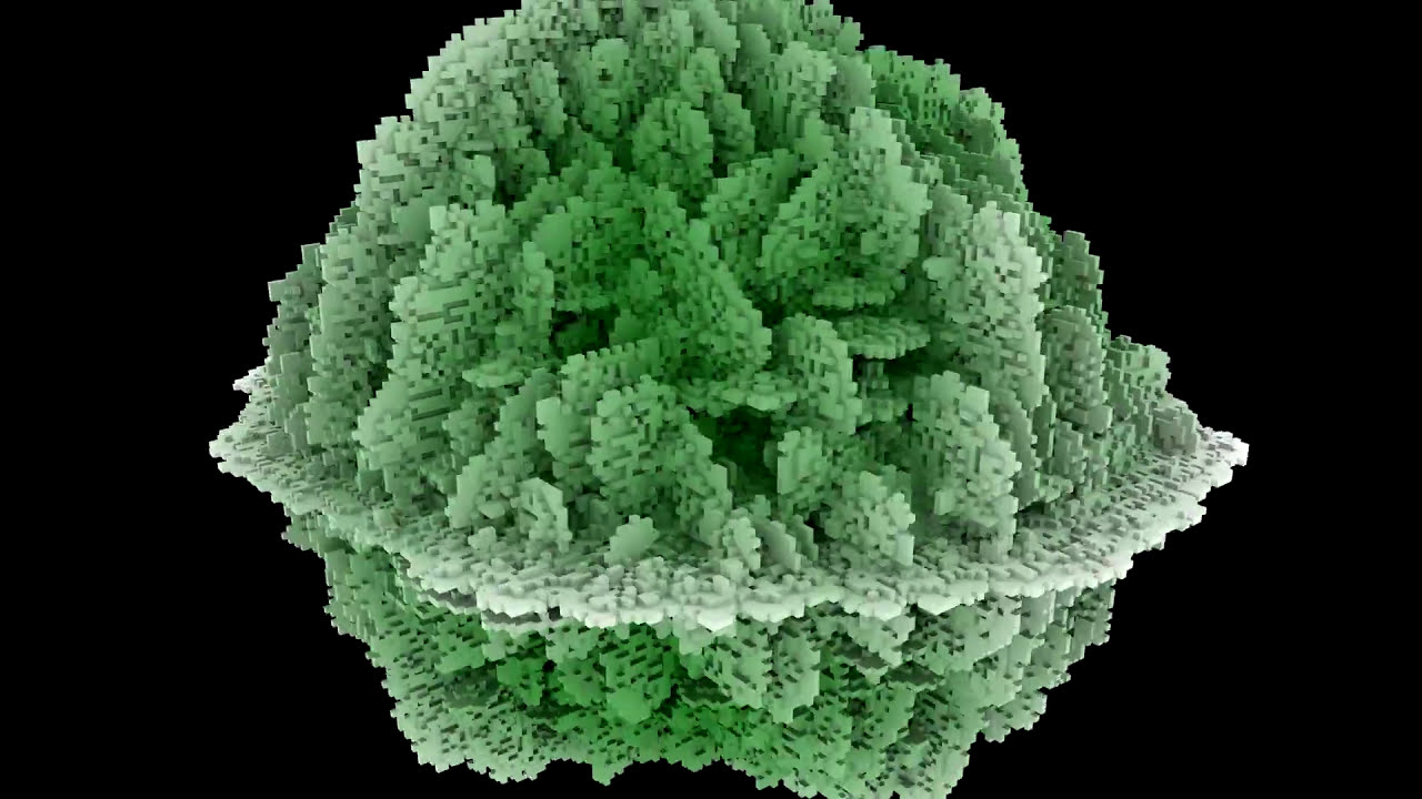 3D Accretor Cellular Automata - YouTube