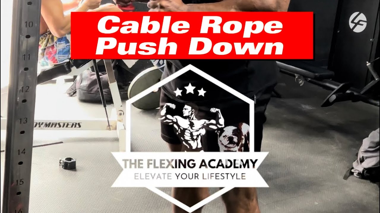 Cable Rope Pushdown: Focus on the top half of the range of motion ...
