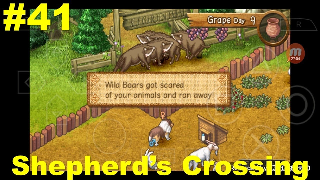 Shepherd's Crossing PSP Gameplay #41 Raise the Dogs, Make Cheese - YouTube