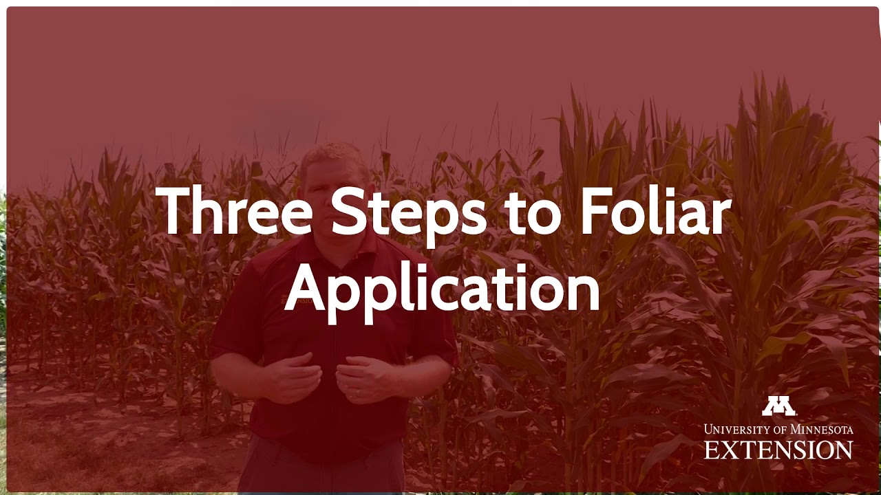 Your Guide to Foliar Nutrient Applications - YouTube