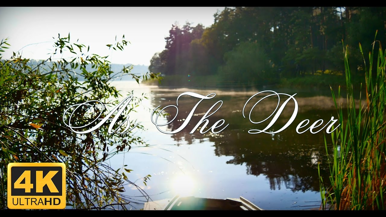 As The Deer Panteth For The Water +lyrics Christian instrumental music ...