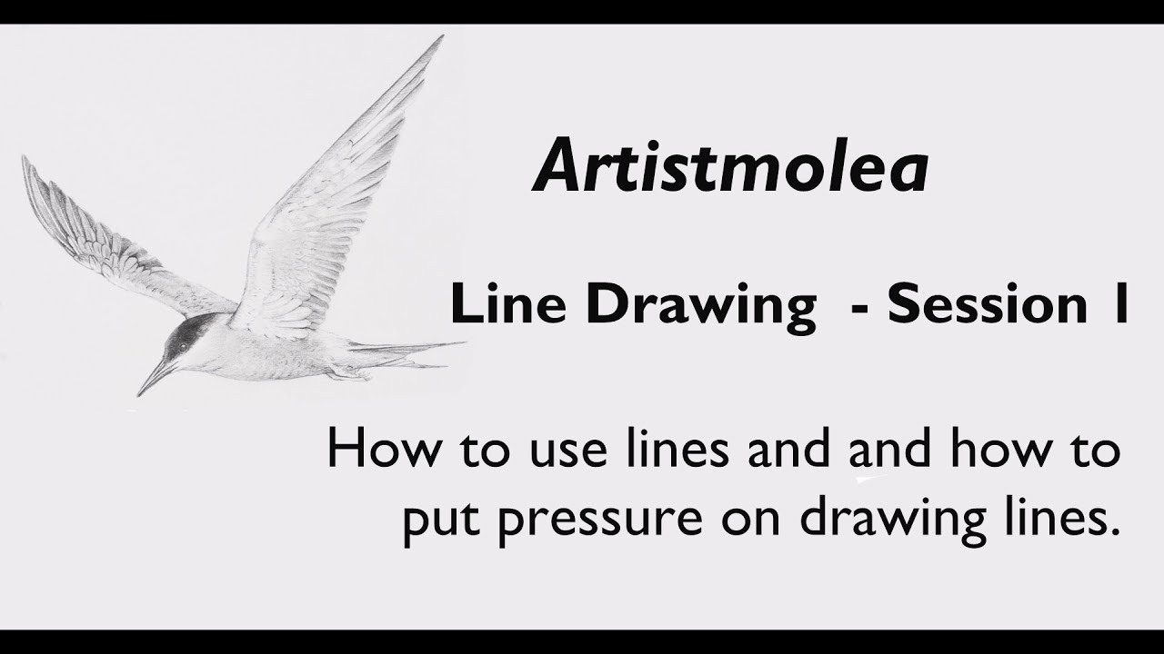 ART 1. Line Drawing for children - YouTube