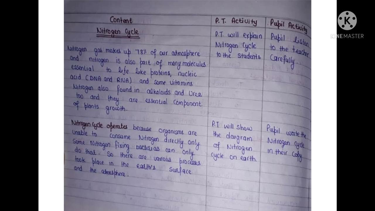 B.ed Science Lesson Plan || Nitrogen Cycle || B.ed lesson plan - YouTube