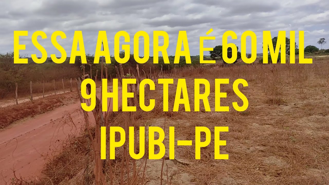 por 60 mil vc adquiri essa linda propriedade. 9 hectares, Ipubi-Pe ...