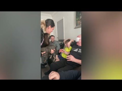 Compilation of Kids Pranking Their Dad #hilarious #family