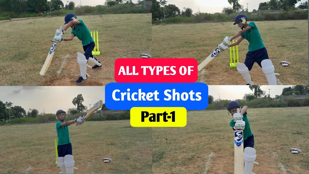 All Types of Cricket Shots||#cricket - YouTube