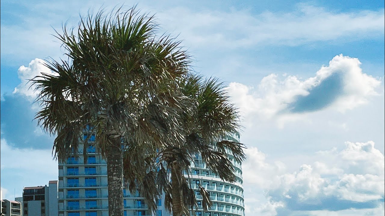 spring break 2024 w/ my friends from college! | clearwater beach, FL ...