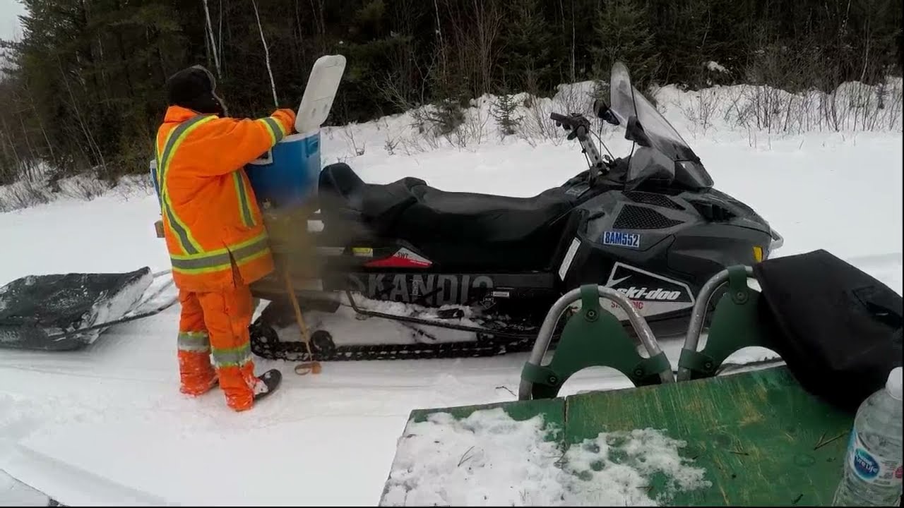 Marten and Fisher Trapping Last run in the North - YouTube