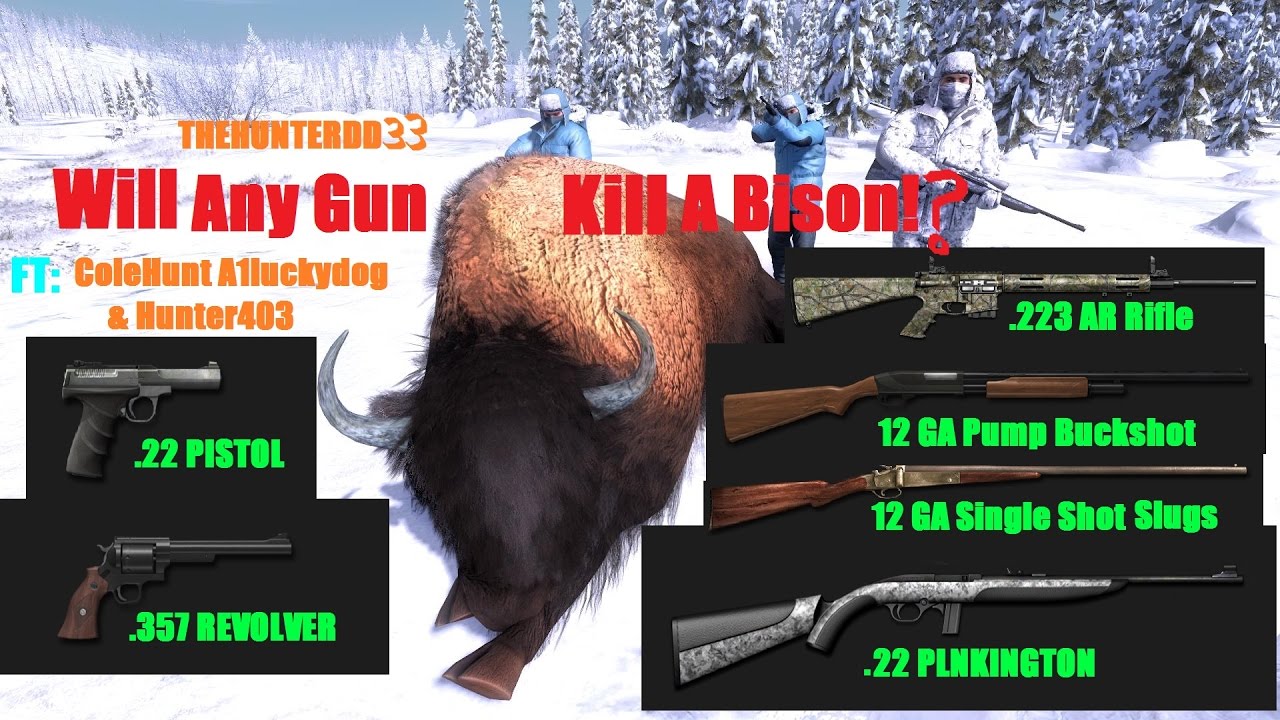 Will Any Gun Kill A Bison?!! THEHUNTER 2017 - YouTube