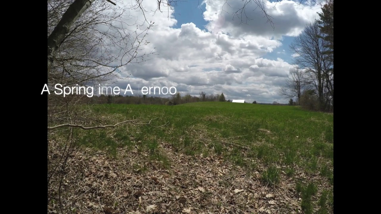 Springtime Afternoon Time Lapse - YouTube