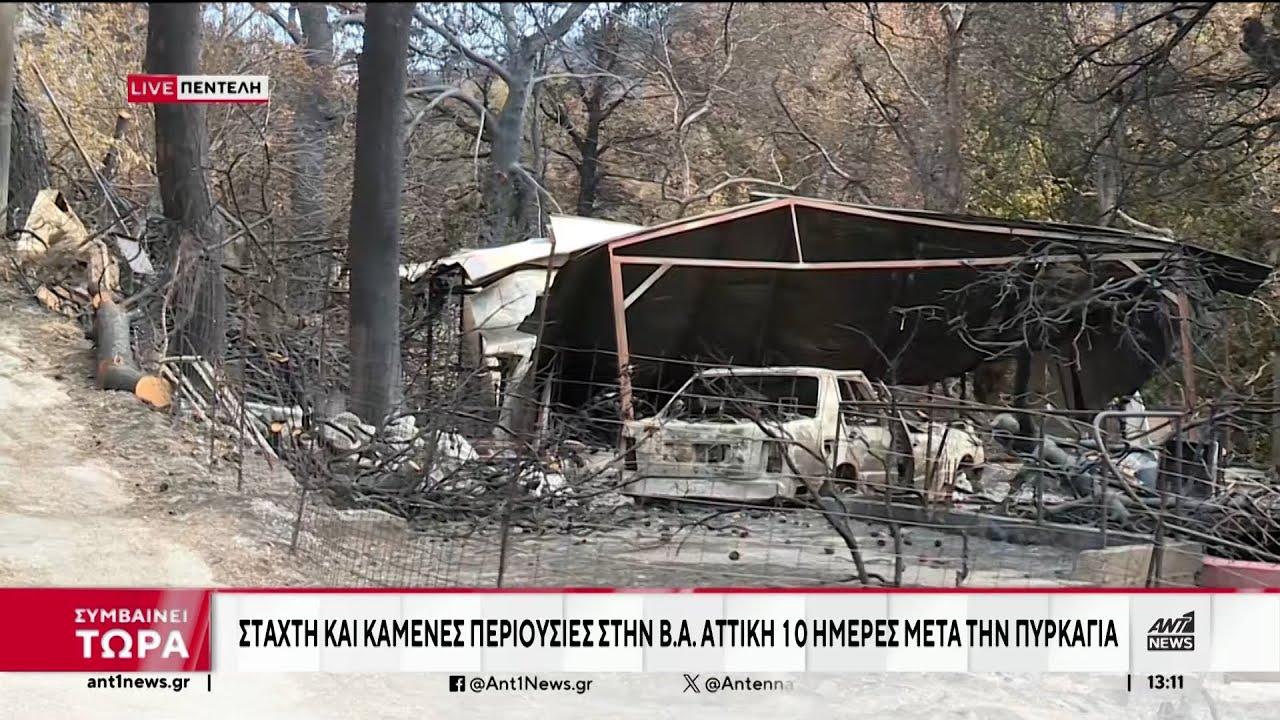 Φωτιά στην Αττική: Απόγνωση στα αποκαϊδια 10 ημέρες μετά την πυρκαγιά ...