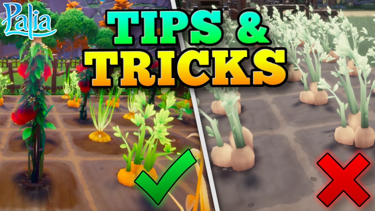 13 Beginner Palia Tips & Tricks That Wish I Knew Sooner! - YouTube