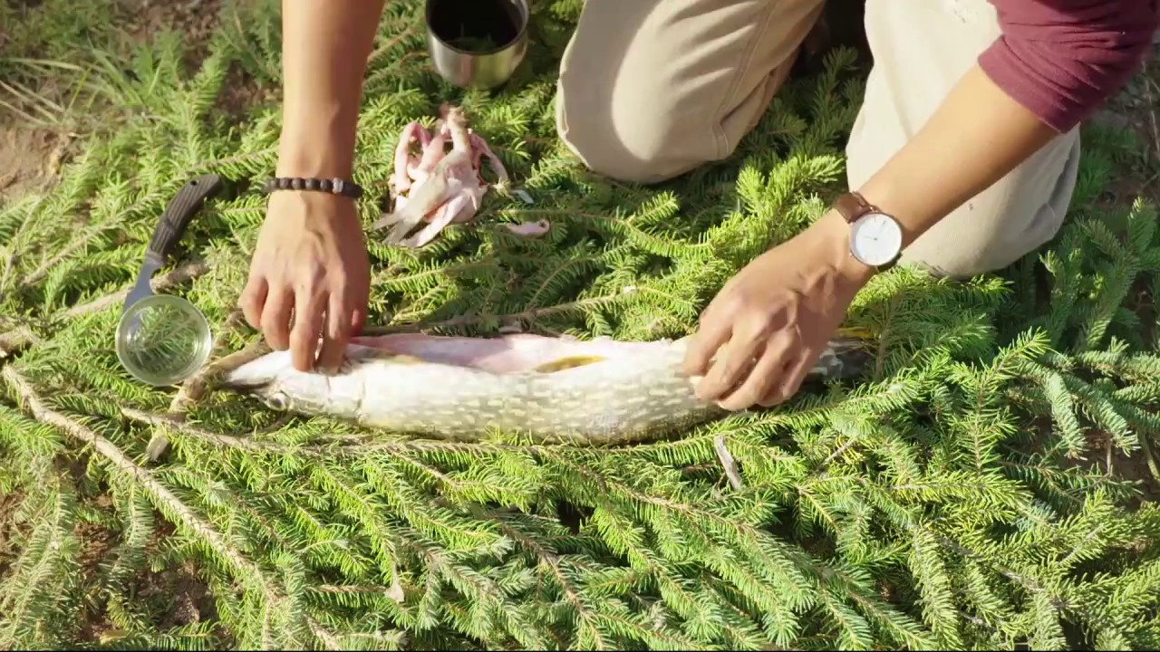 Wild Kitchen - Cooking Fish in a Ground Oven - YouTube