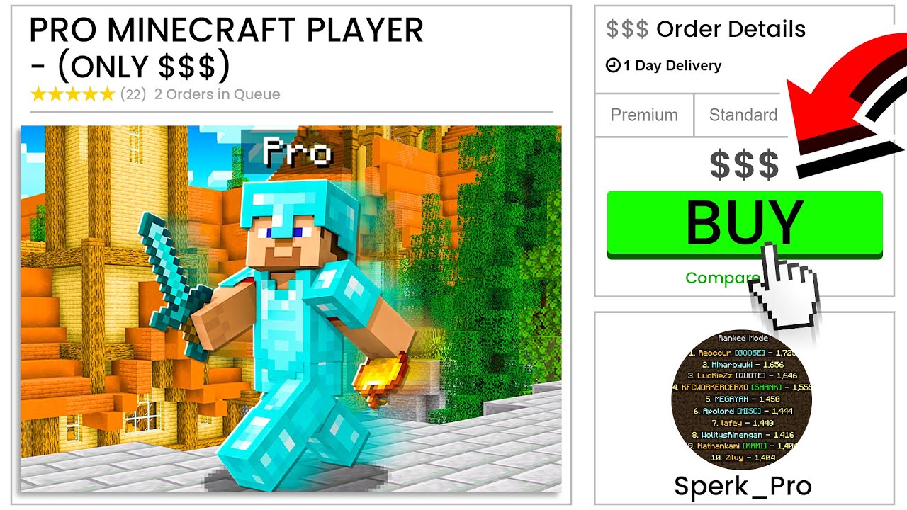 I HIRED A PRO MINECRAFT PLAYER FOR $20... - YouTube