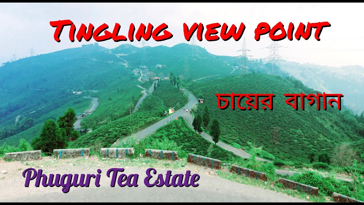 TINGLING VIEW POINT MIRIK| Phuguri Tea Estate | North Bengal Ride ...
